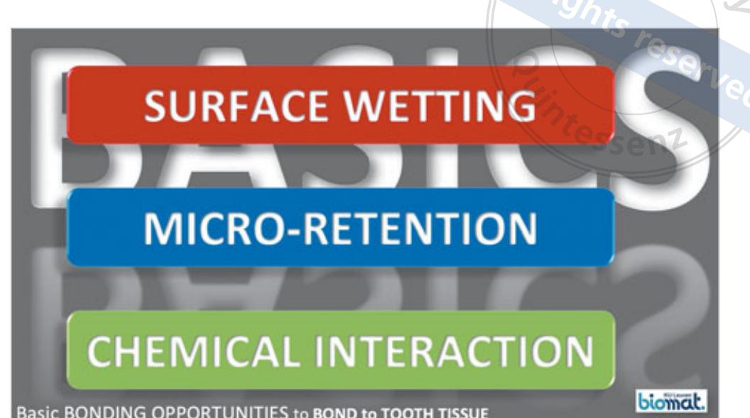 Basic bonding opportunities to bond to tooth tissue.