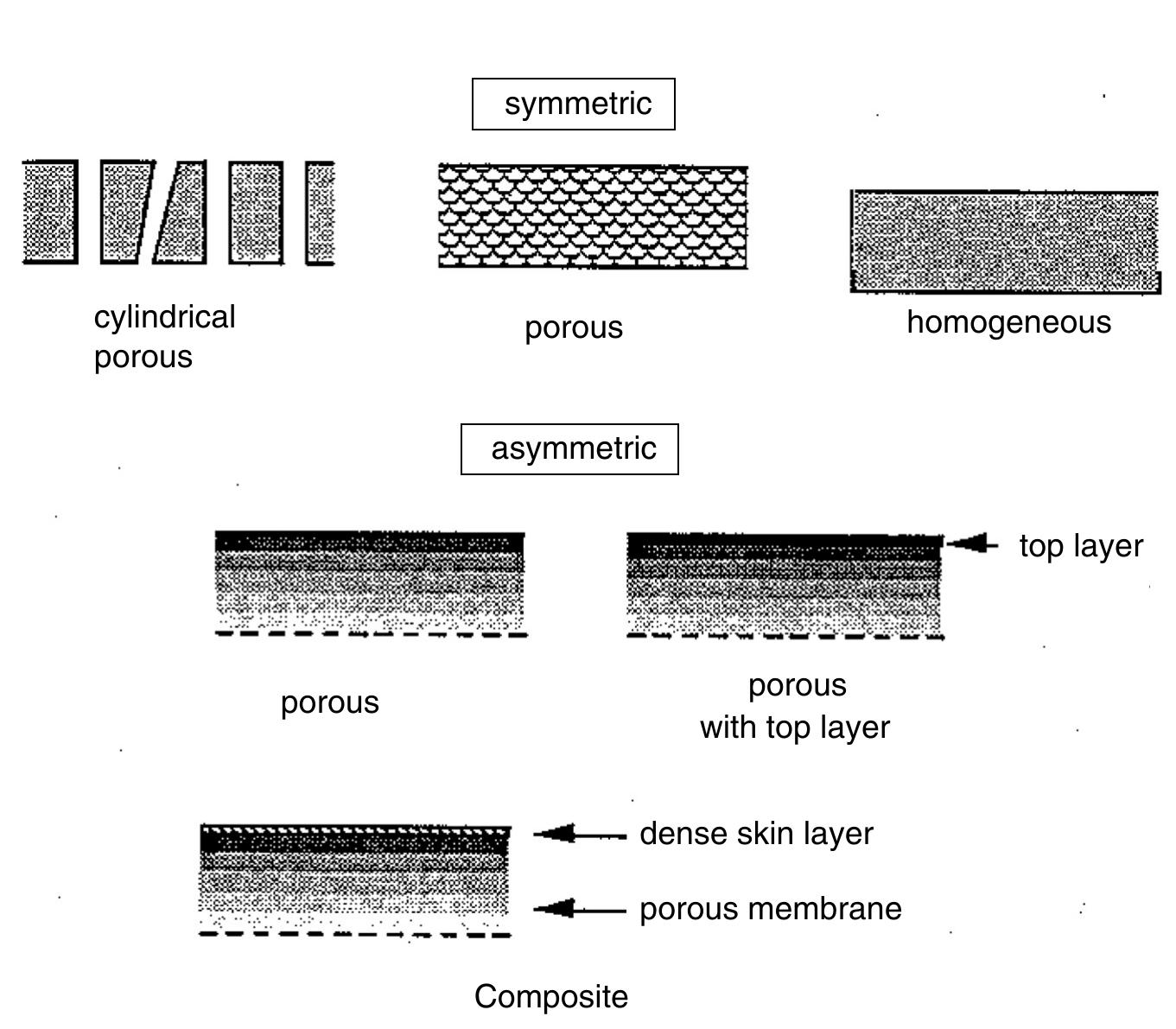 1 schematic representation of membrane cross-sections [2].