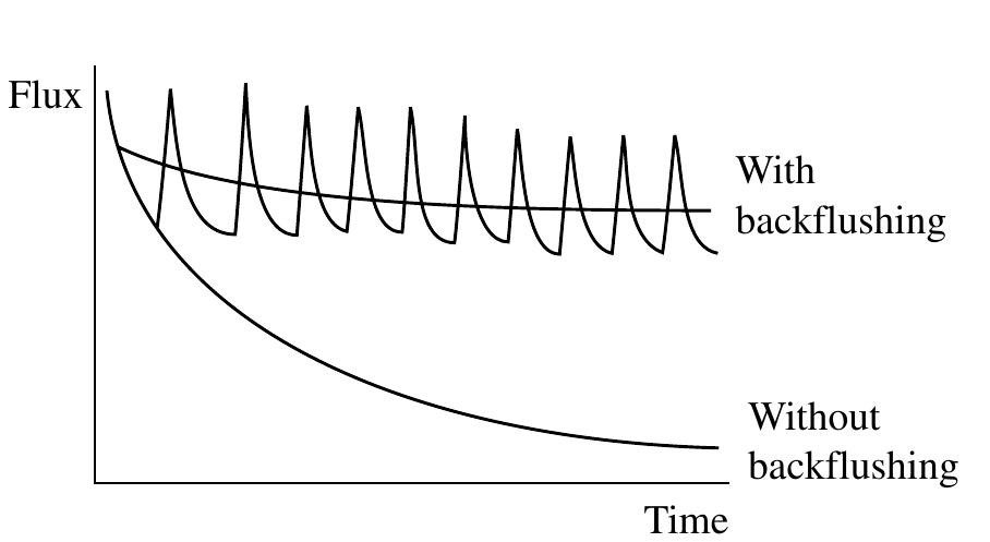 19 schematic drawing of the flux vs time behavior in a given