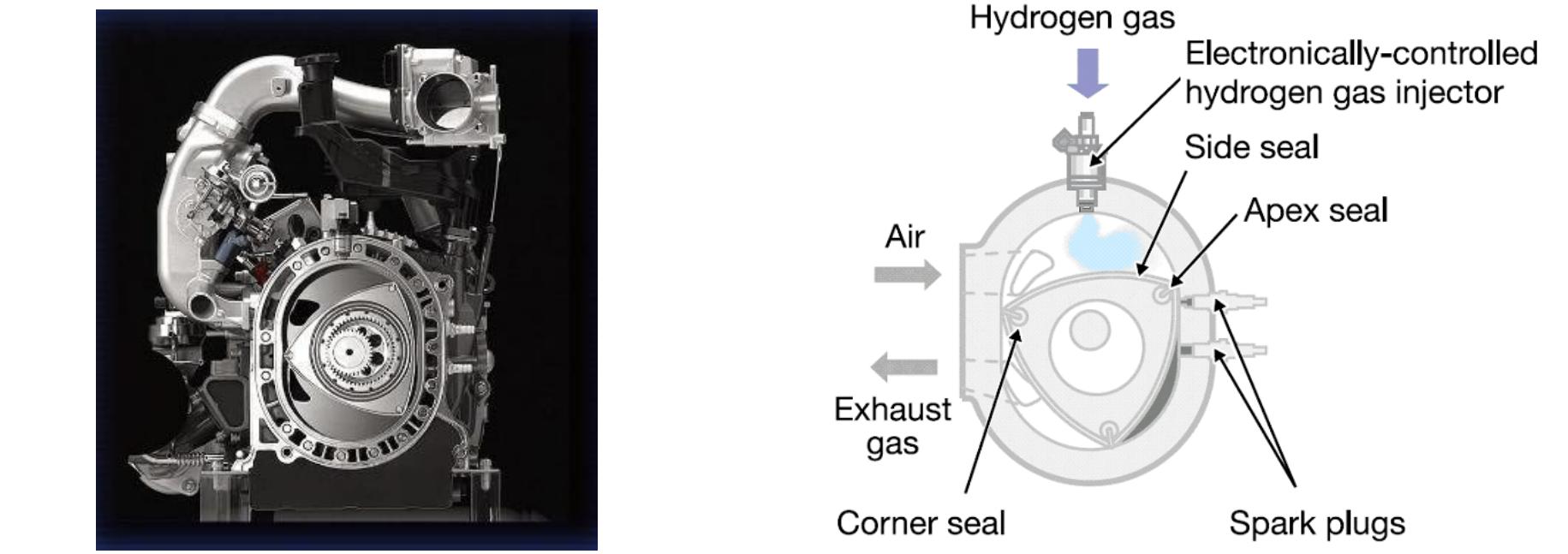 Cross-sectional diagrams of the hydrogen re