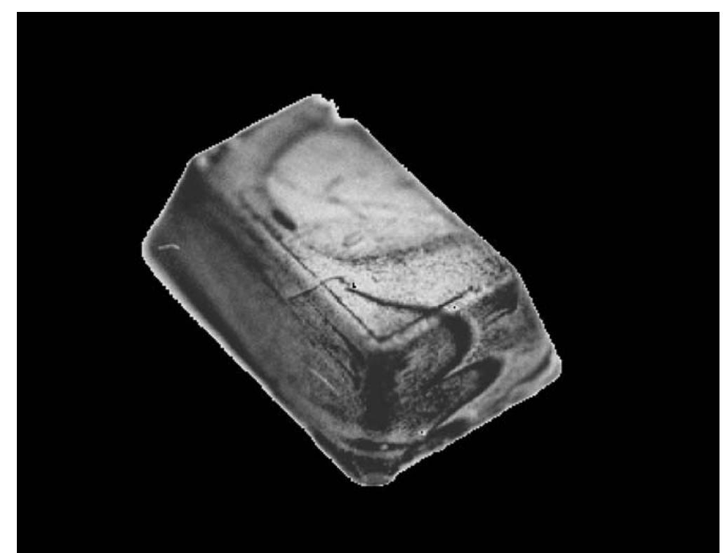 6 fat bloom in chocolate (images courtesy of y. kinta,