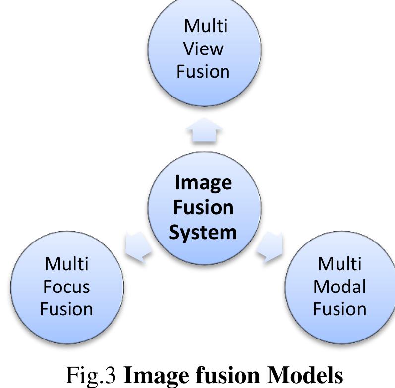 There are three types of fusion image models provided in
