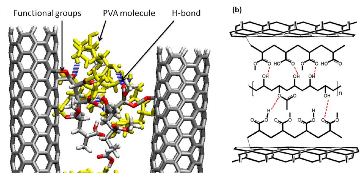 Schematics of hydrogen-bond interactions between the