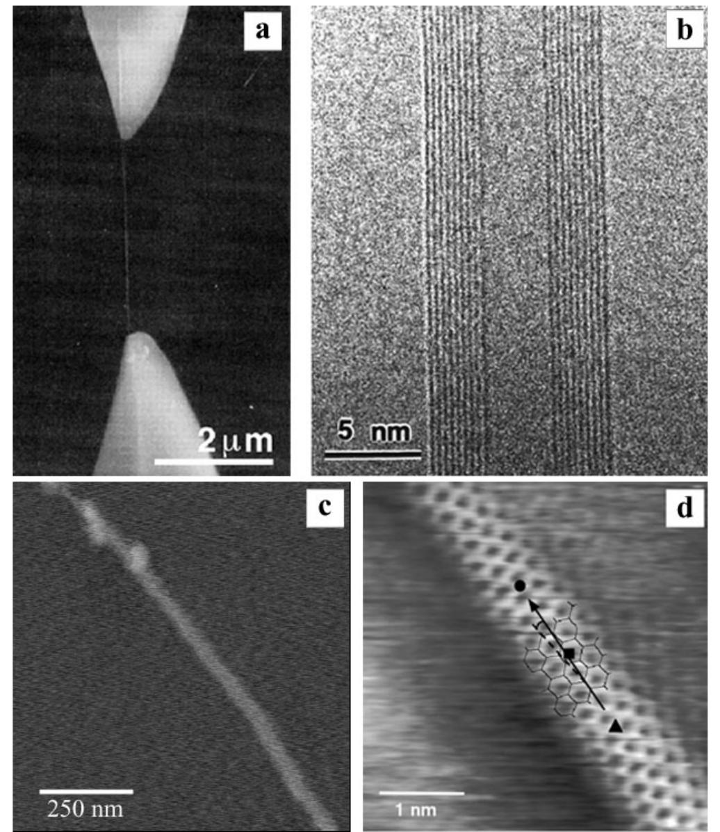 Typical images of cnts taken by (a) sem (reprinted with