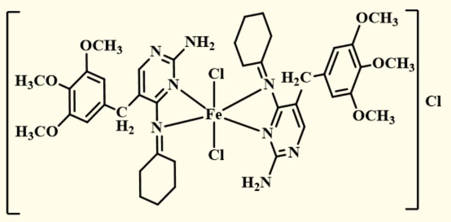 B: structure of the fe (iii) metal complex.