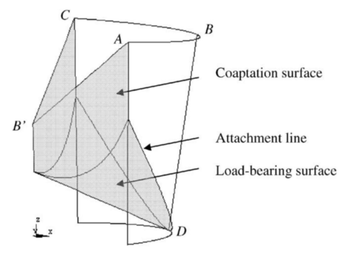 -16. schematic showing leaflet design as per labrosse et al.
