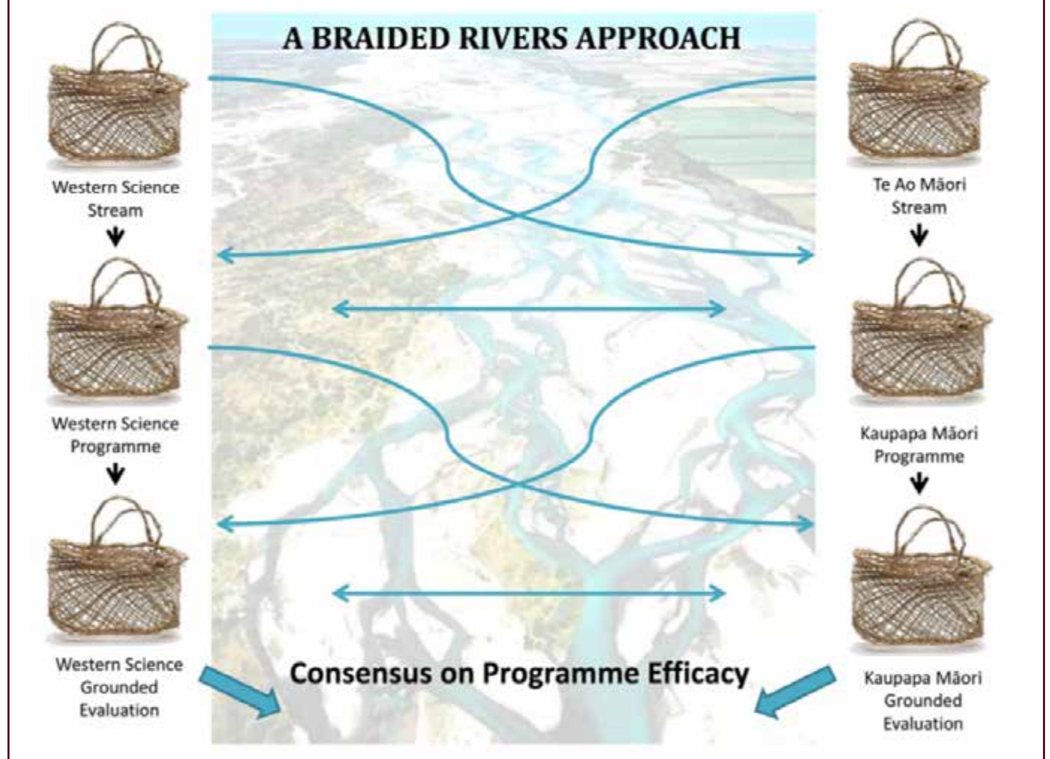 A diagram of the he awa whiria braided rivers model (s.