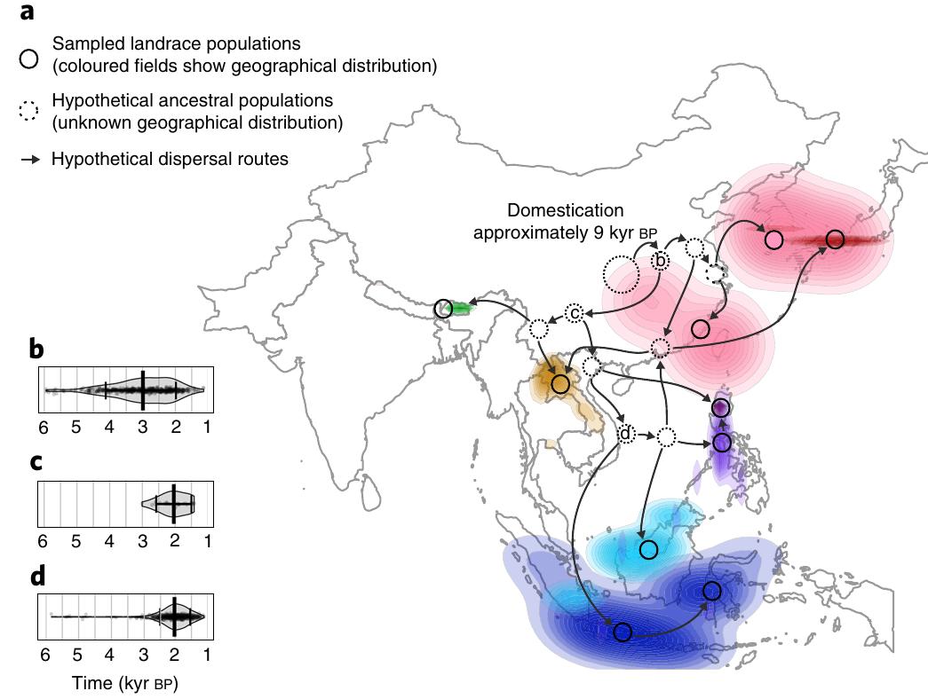 | proposed dispersal map of japonica rice in asia. a, map
