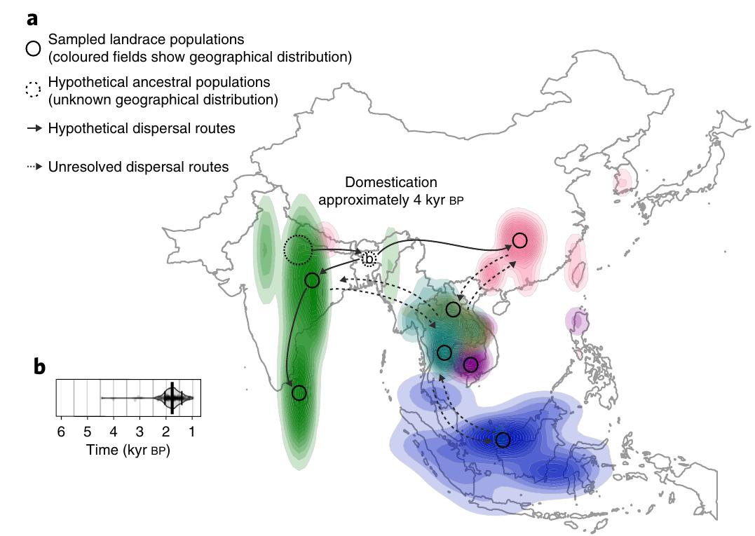 | proposed dispersal map of indica rice in asia. a, map