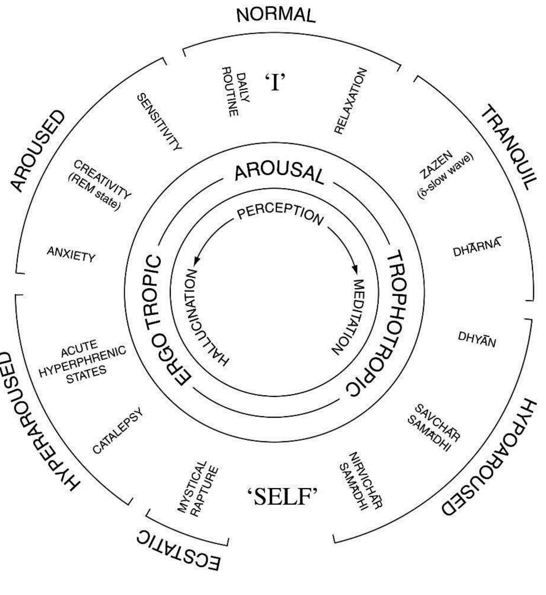 Fischer’s model of depicting two pathways of consciousness