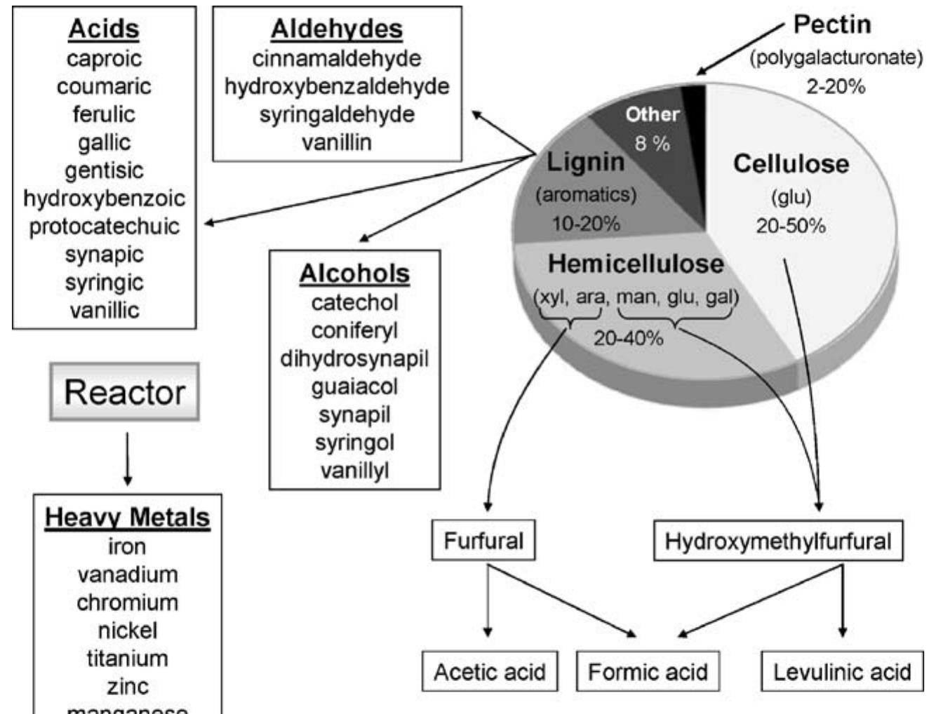 Figure 47 - from Process engineering economics of bioethanol
