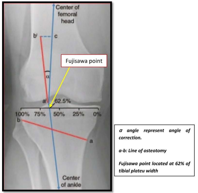 Fujisawa point: fujisawa, y., masuhara, k., shiomi, s.: the