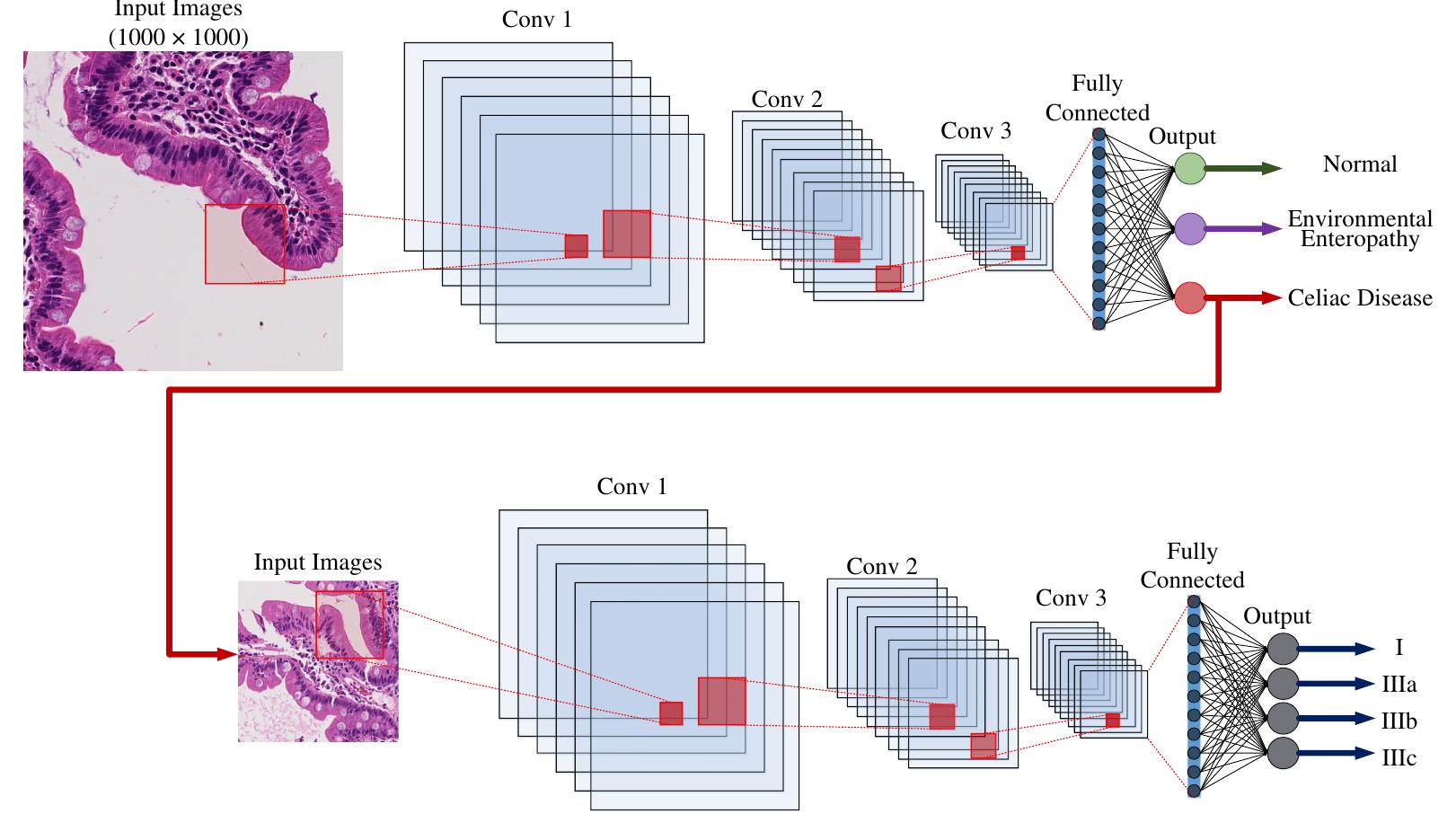 Structure of convolutional neural net using multiple 2d