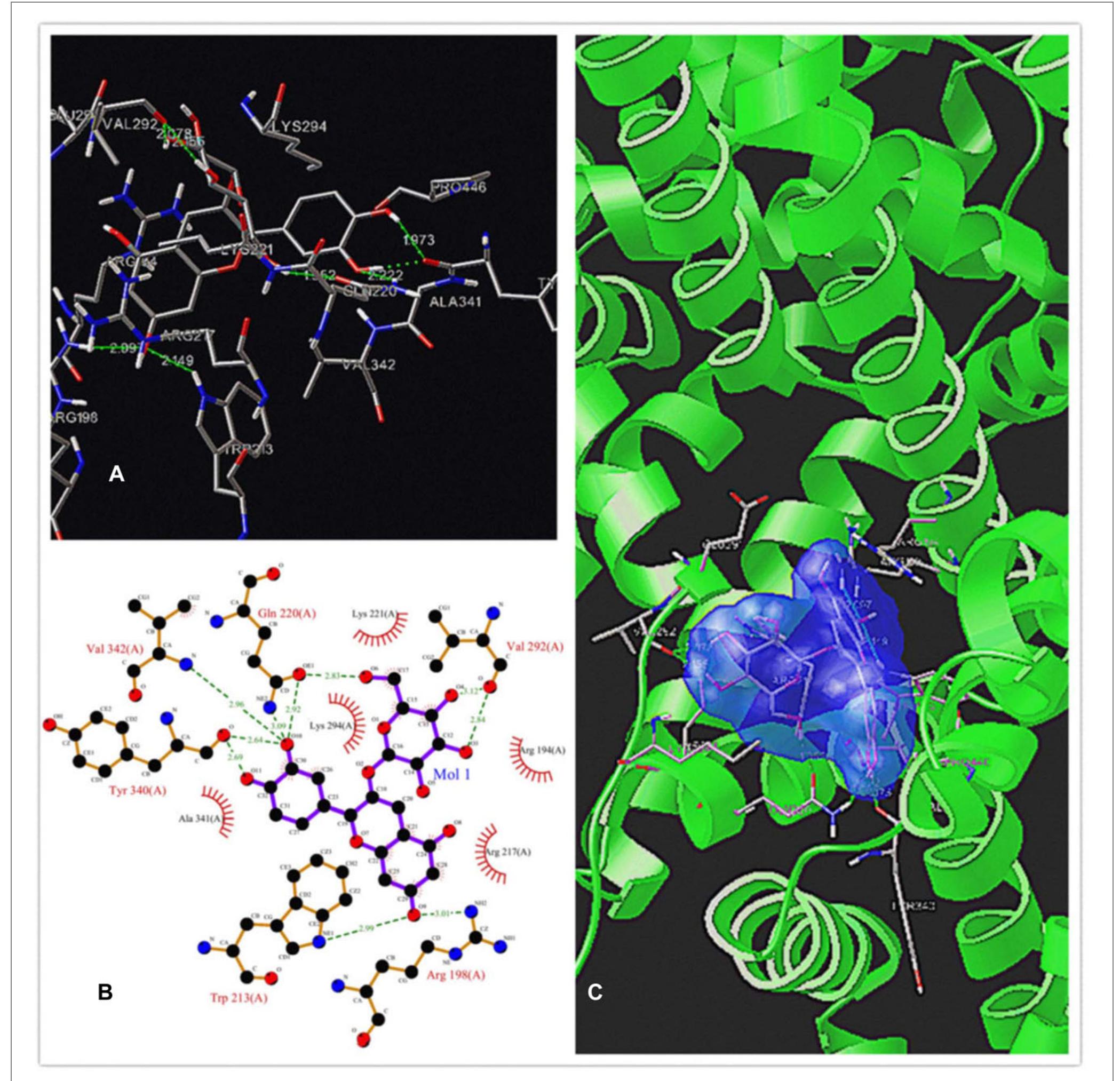 —molecular interaction between protein bovine serum albumin