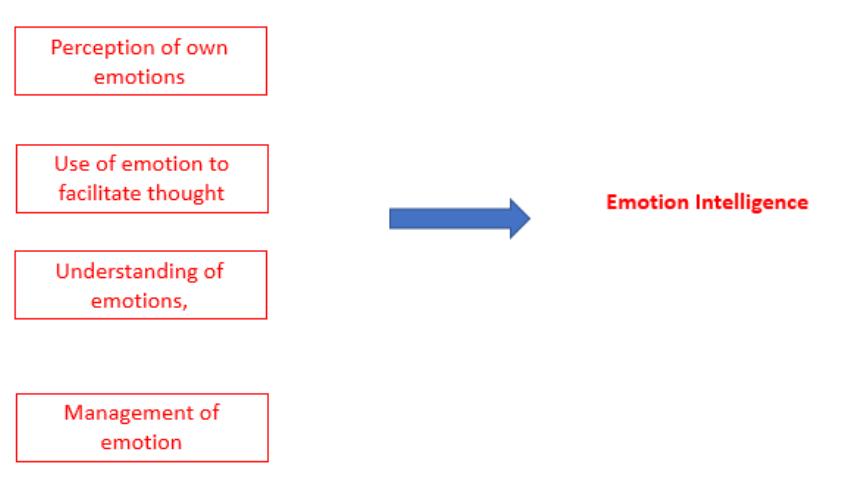 The four-branch model of emotional intelligence (mayer
