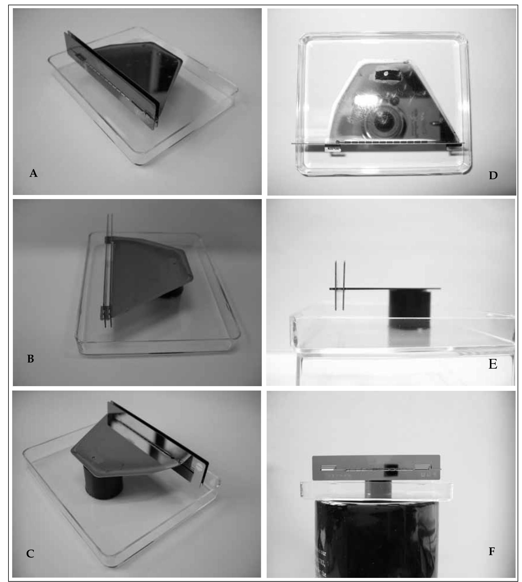 23 series of pictures to describe the linear colloid
