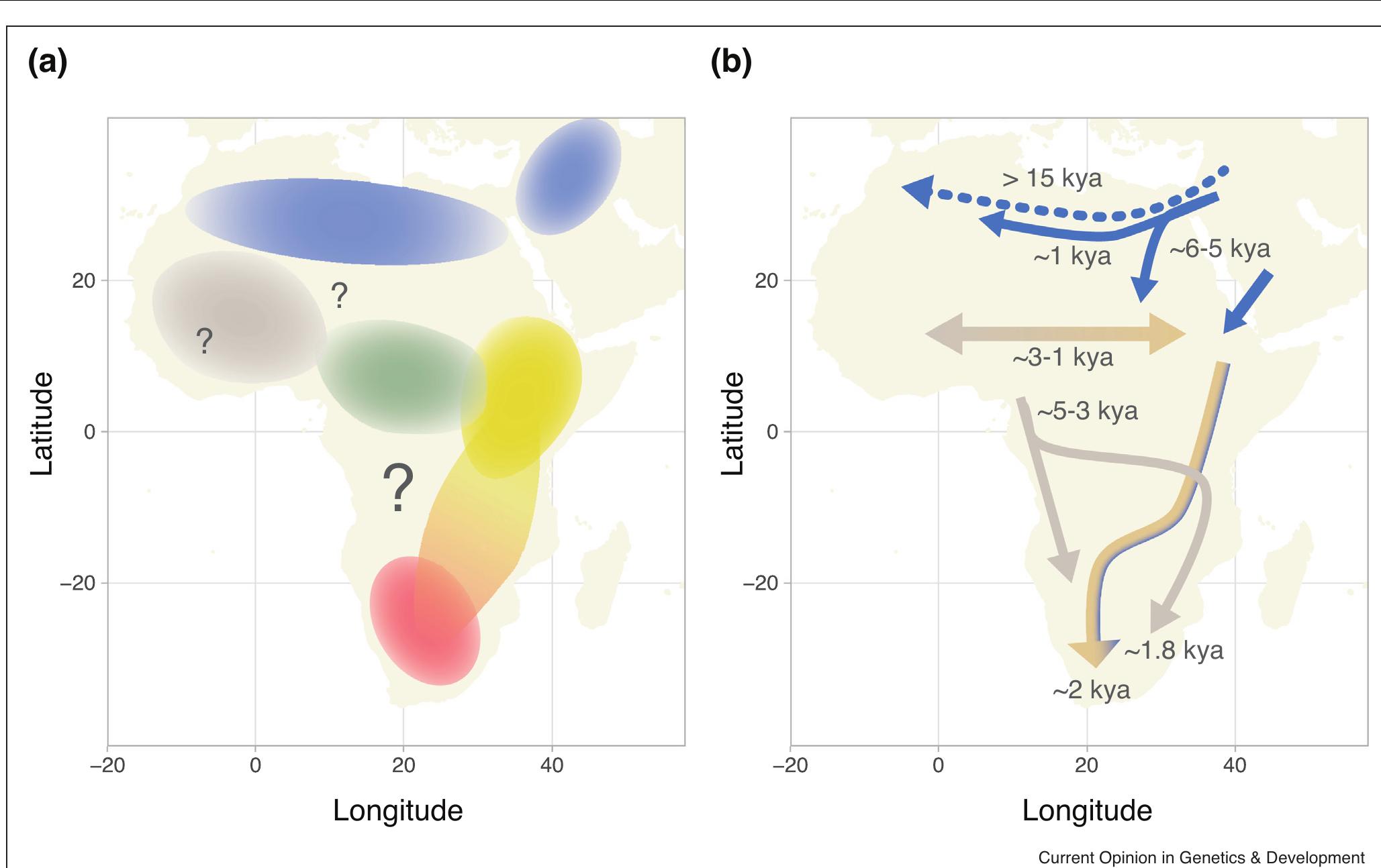 African Population History Before And After Farming A Map