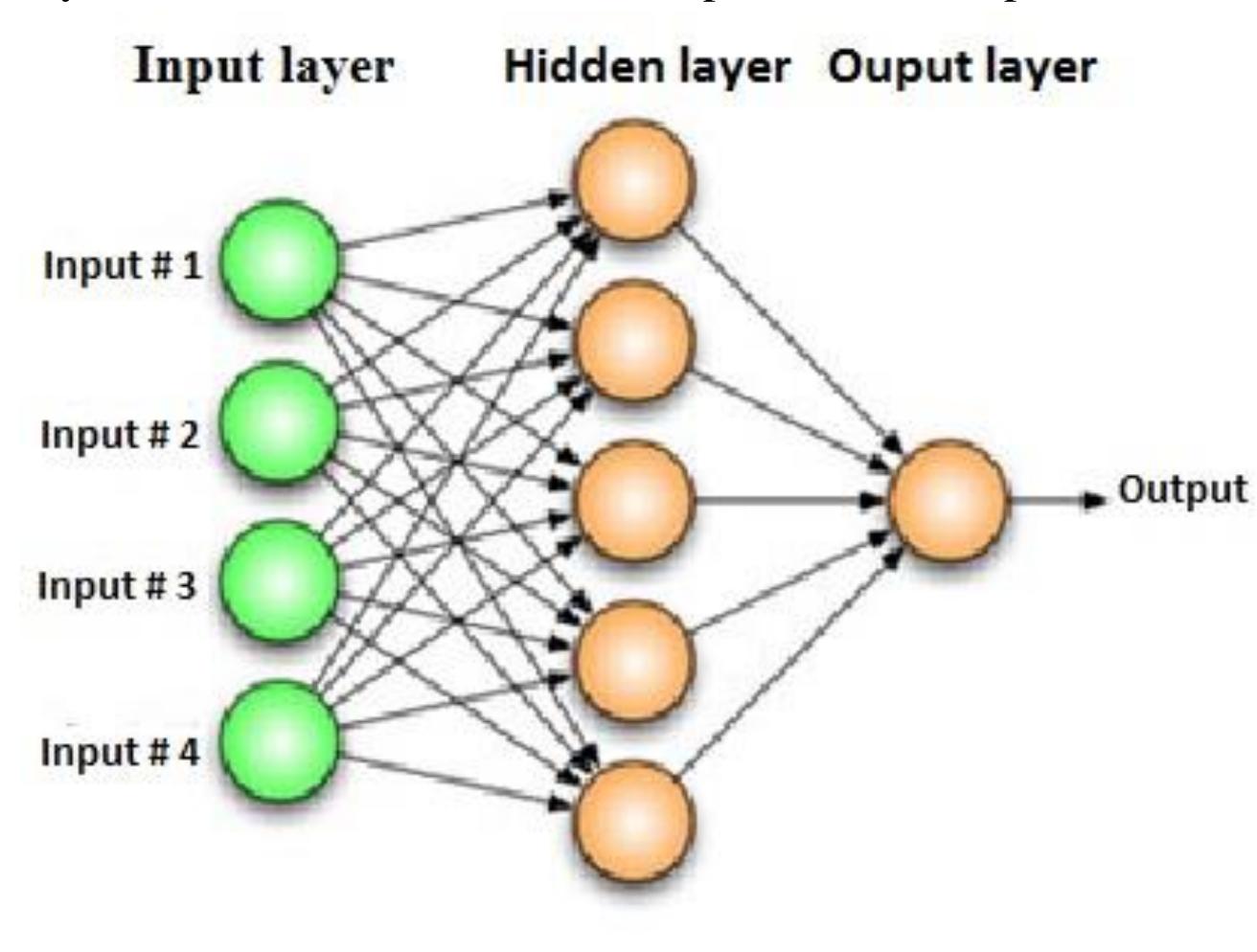 Output layer; it contains one neuron that represents the