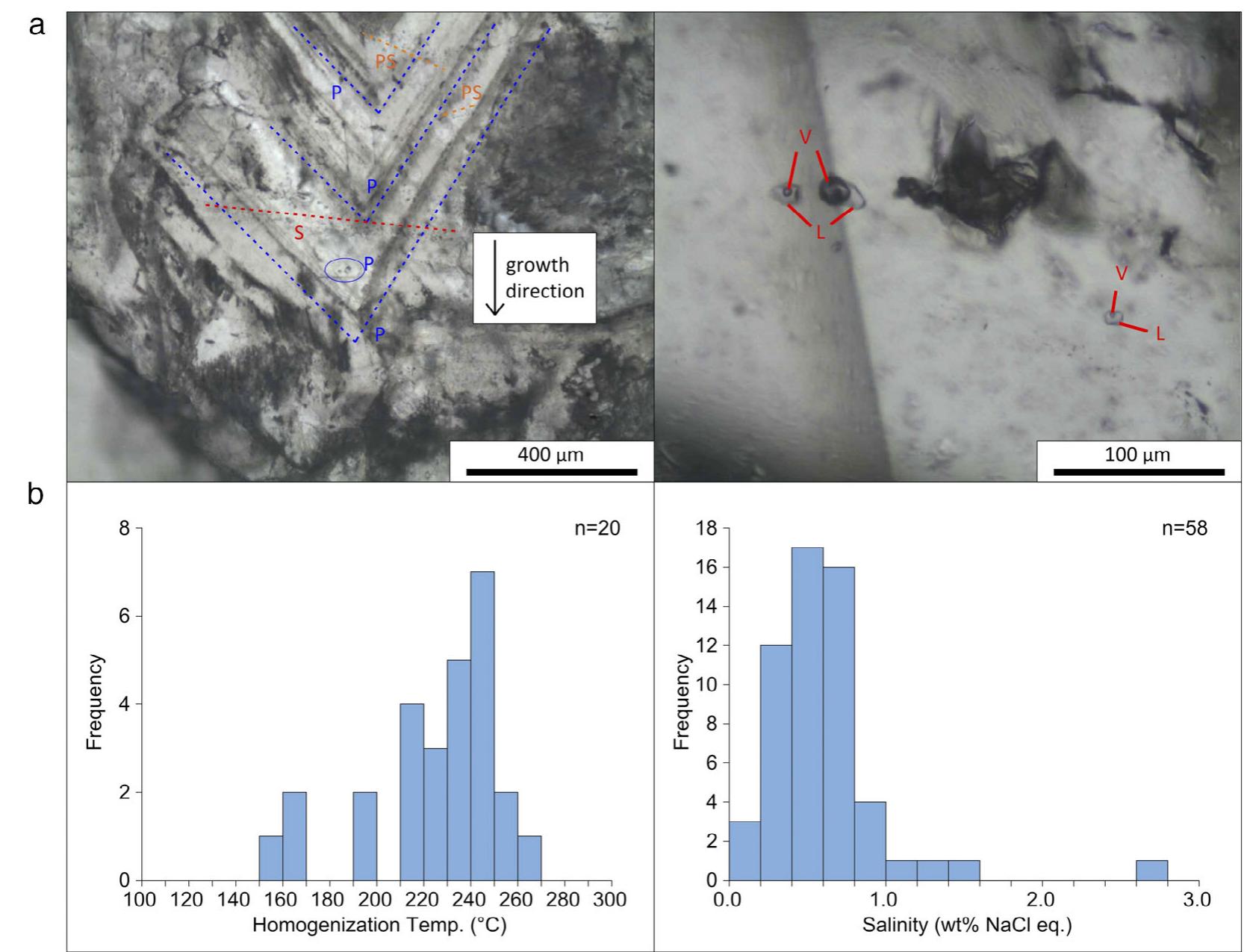 (a) photomicrographs of primary fluid inclusions in the