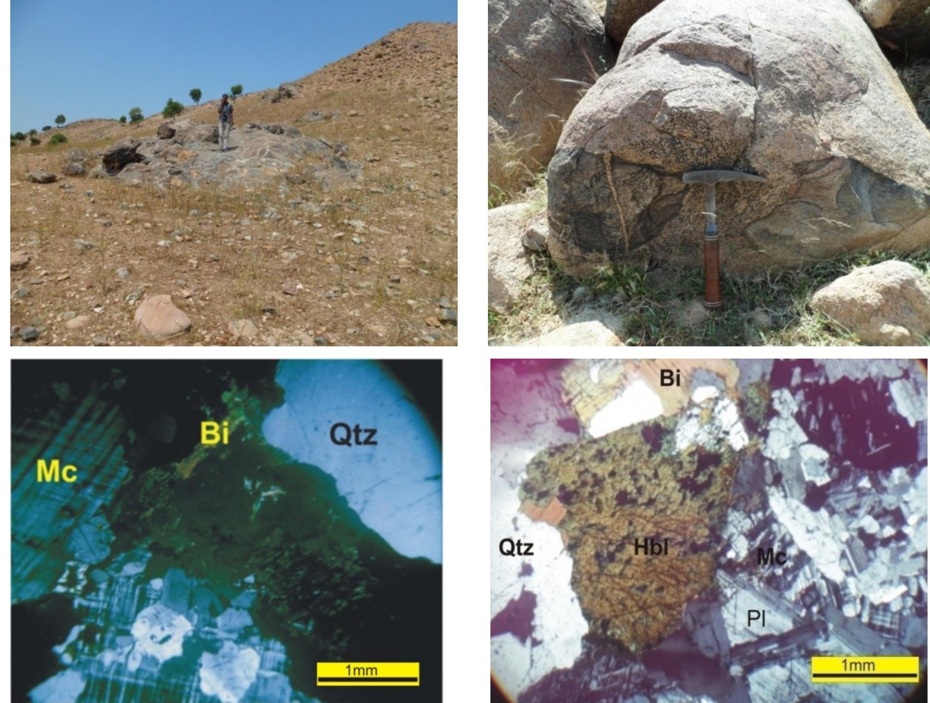 Photomicrographs showing: (a) large xenoliths (raft) of