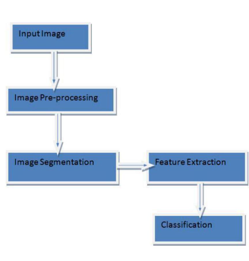 System flow diagram