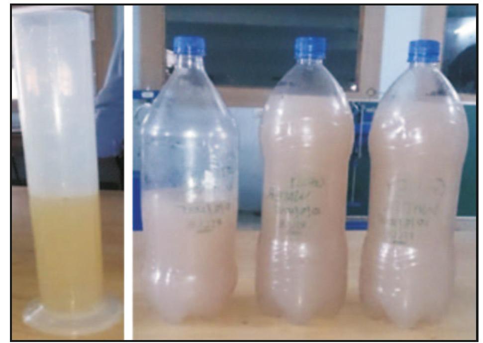 (PDF) GREY WATER TREATMENT AND MANAGEMENT : THE POTENTIAL OF GREYWATER ...