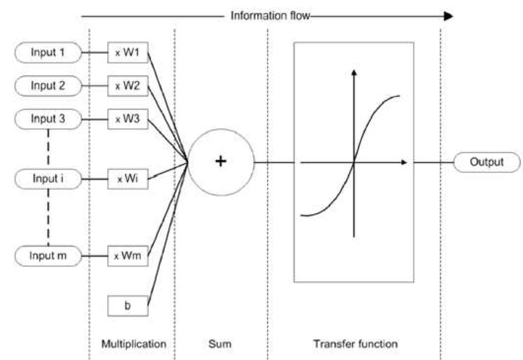 Working principle of an artificial neuron [17] the basic