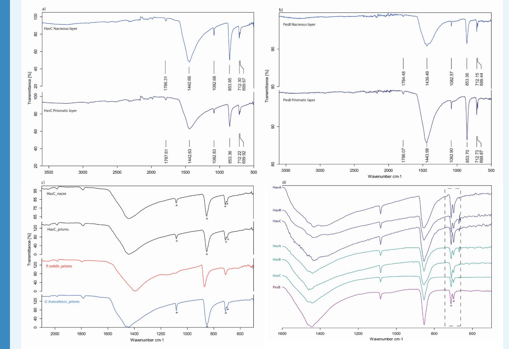 Appendix 1—figure 6. ftir-atr spectra of the double-buttons.