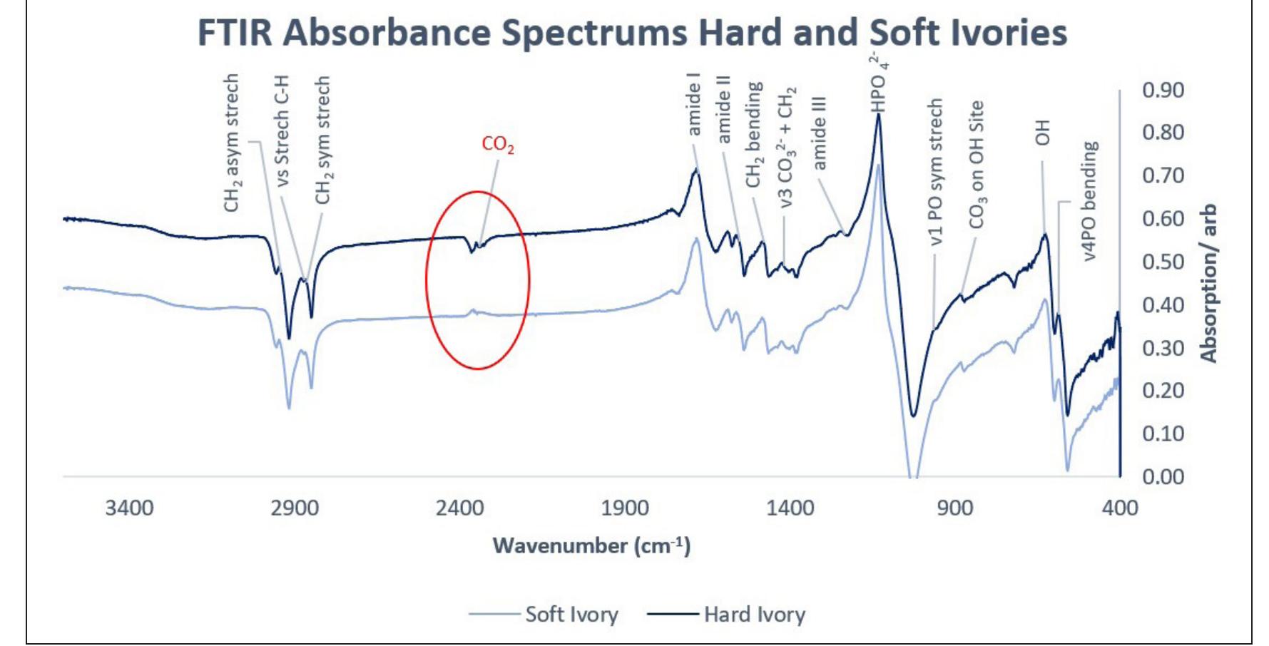 (PDF) African Elephant Ivory Subspecies Differentiation by Raman, FTIR ...