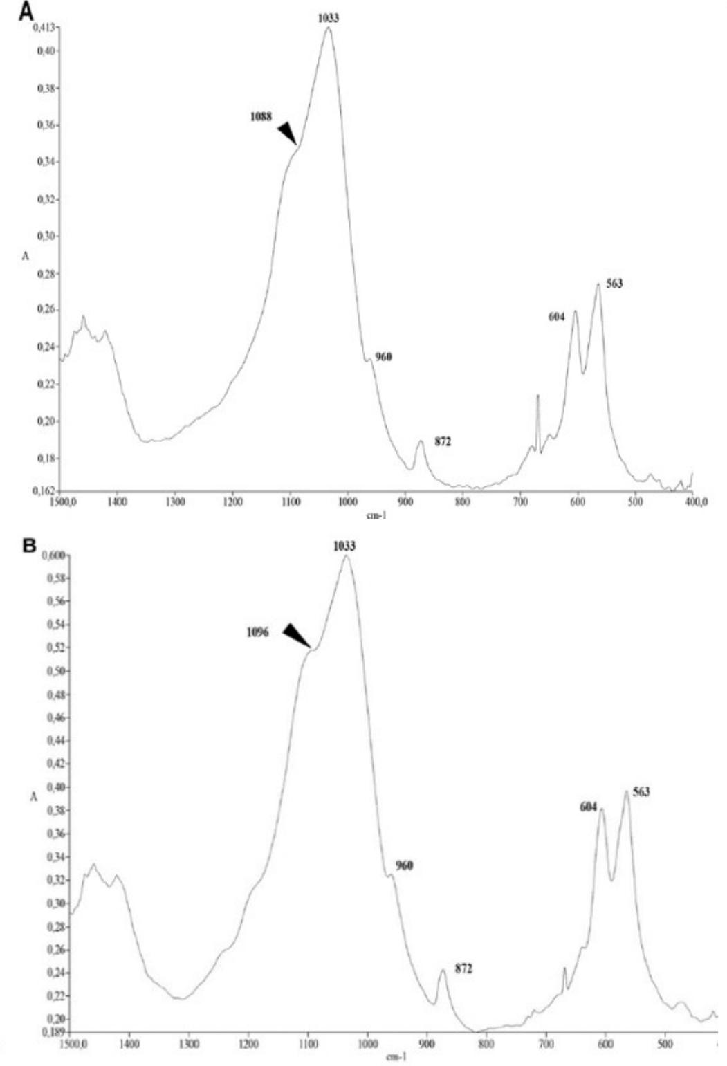 Picture 6. ftir absorbance spectrums of asian elephant ivory