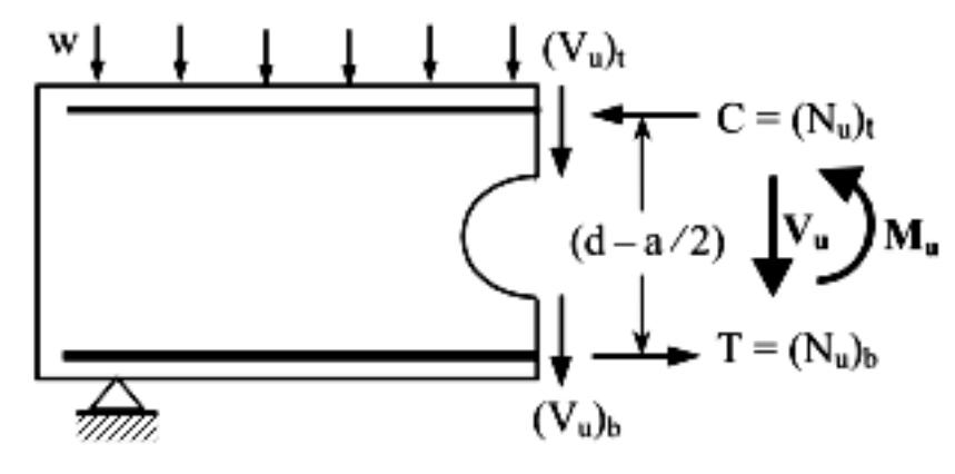 Free-body diagram at beam opening [5]