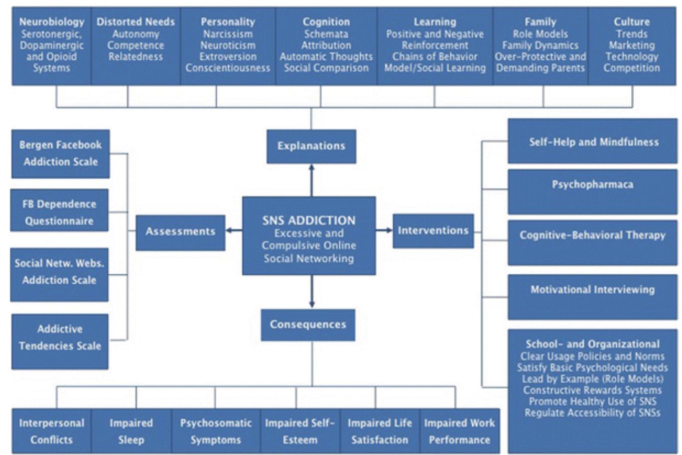 (PDF) SOCIAL MEDIA ADDICTION AND CONTROLLING SOCIAL MEDIA USE: AN ...
