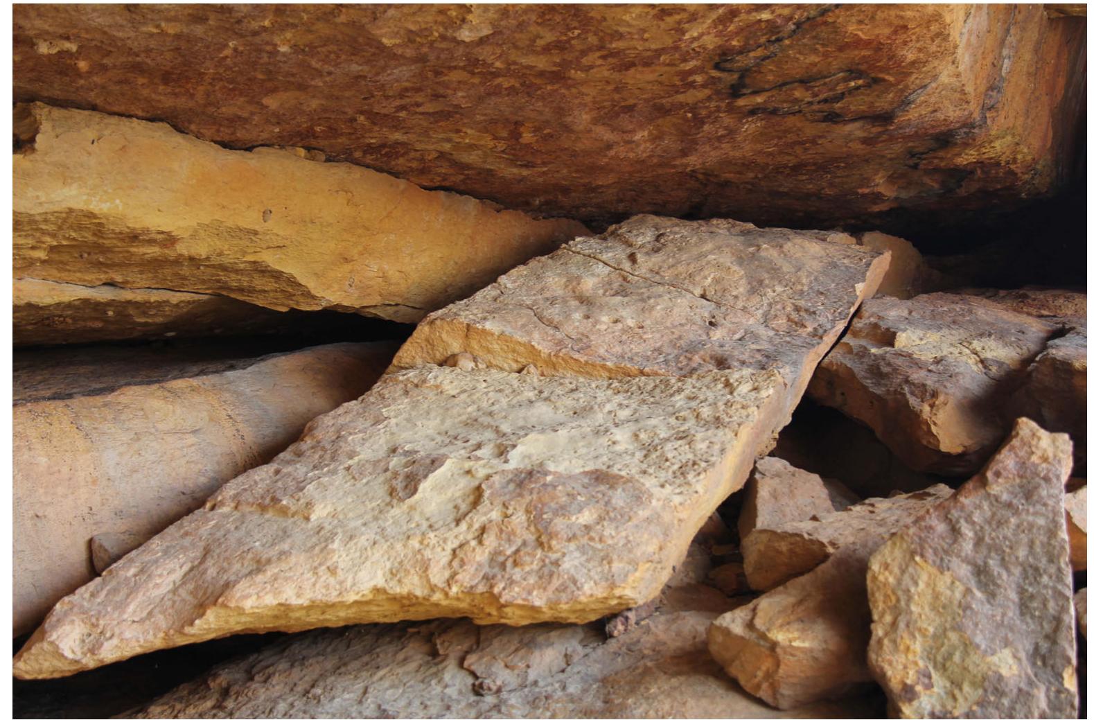 Figure 8 - from Kincentric Ecology, Species Maintenance and