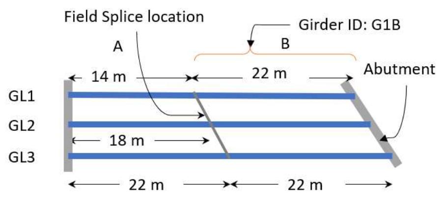 Girders making up three girder lines on one bridge. so, as