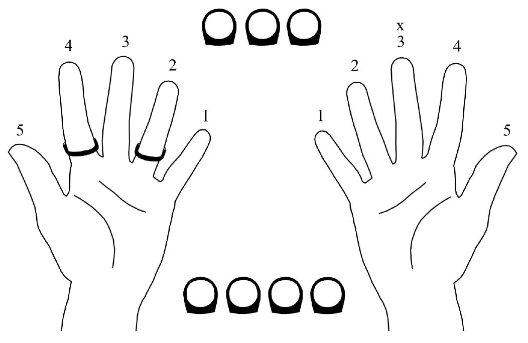 Final picture of the ritual of finger-numbering in ct 398.