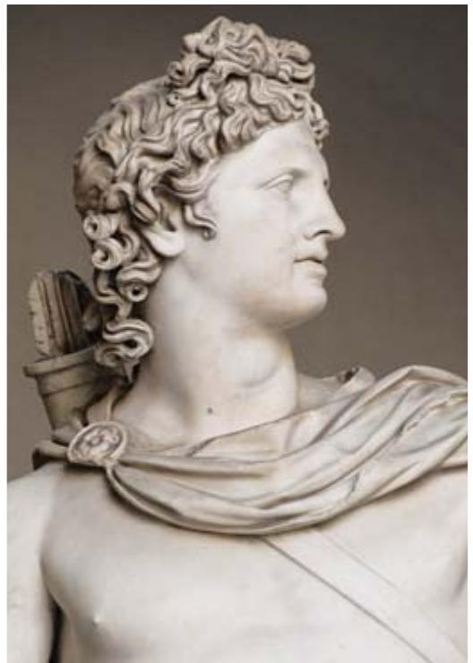Apollo belvedere, head and pectoral detail. photo: wiki