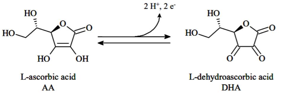 The structures of ascorbic acid (lett) and its oxidation