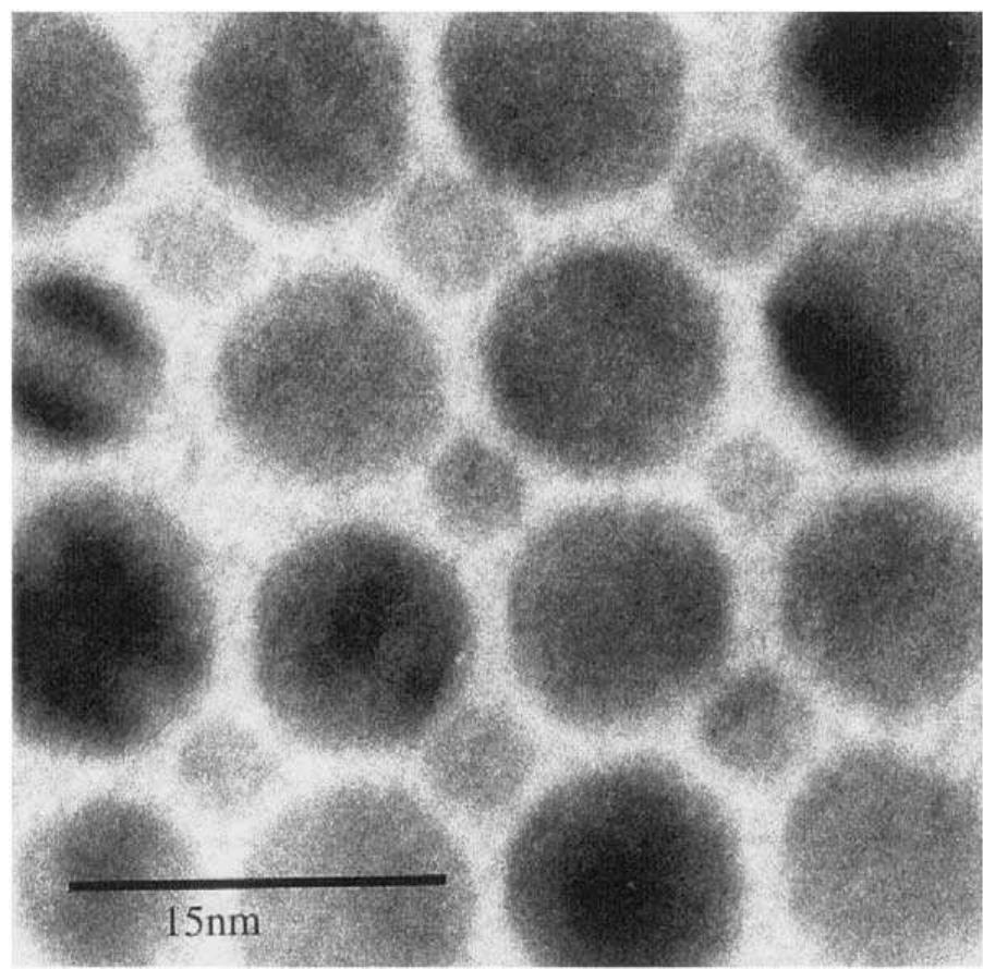 Tem micrograph of a section of an ab (nacl-type)