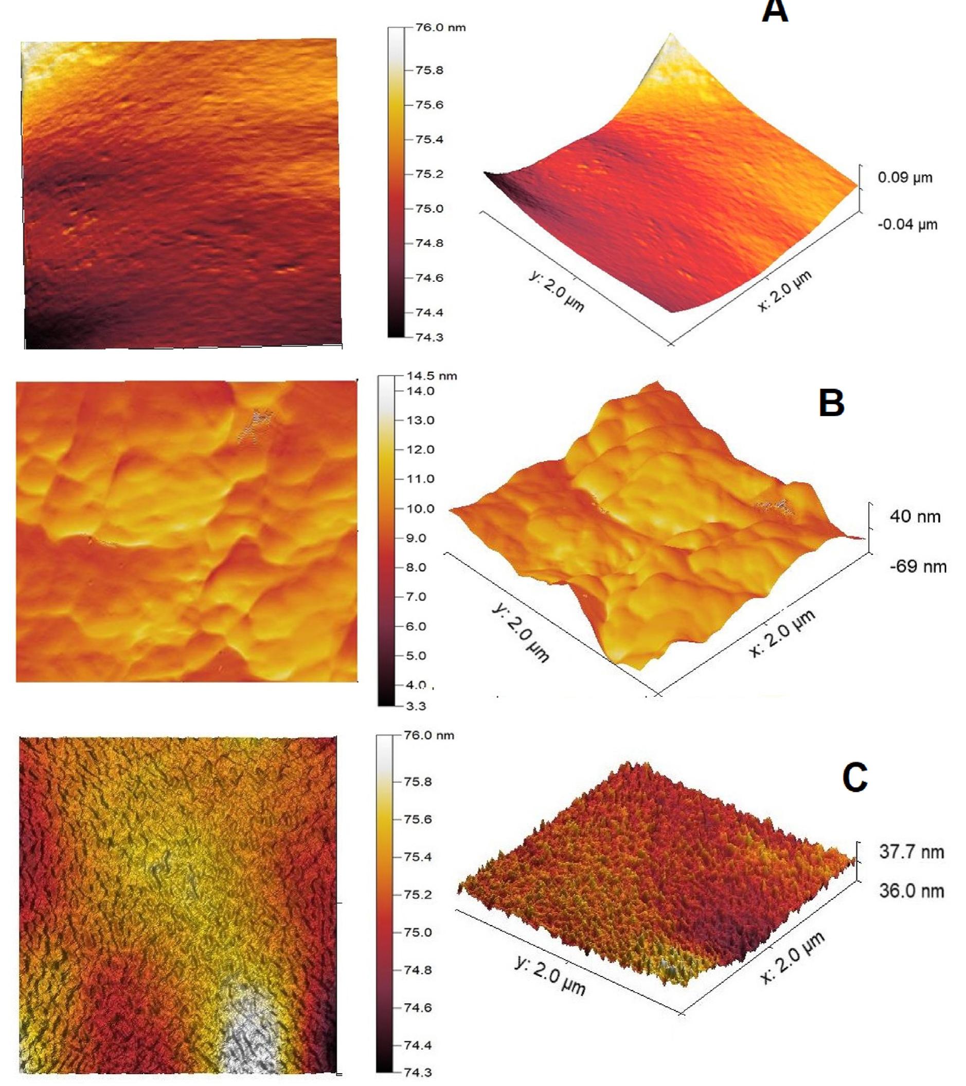 2d and 3d afm images of all membranes: (a) plain pvdf;