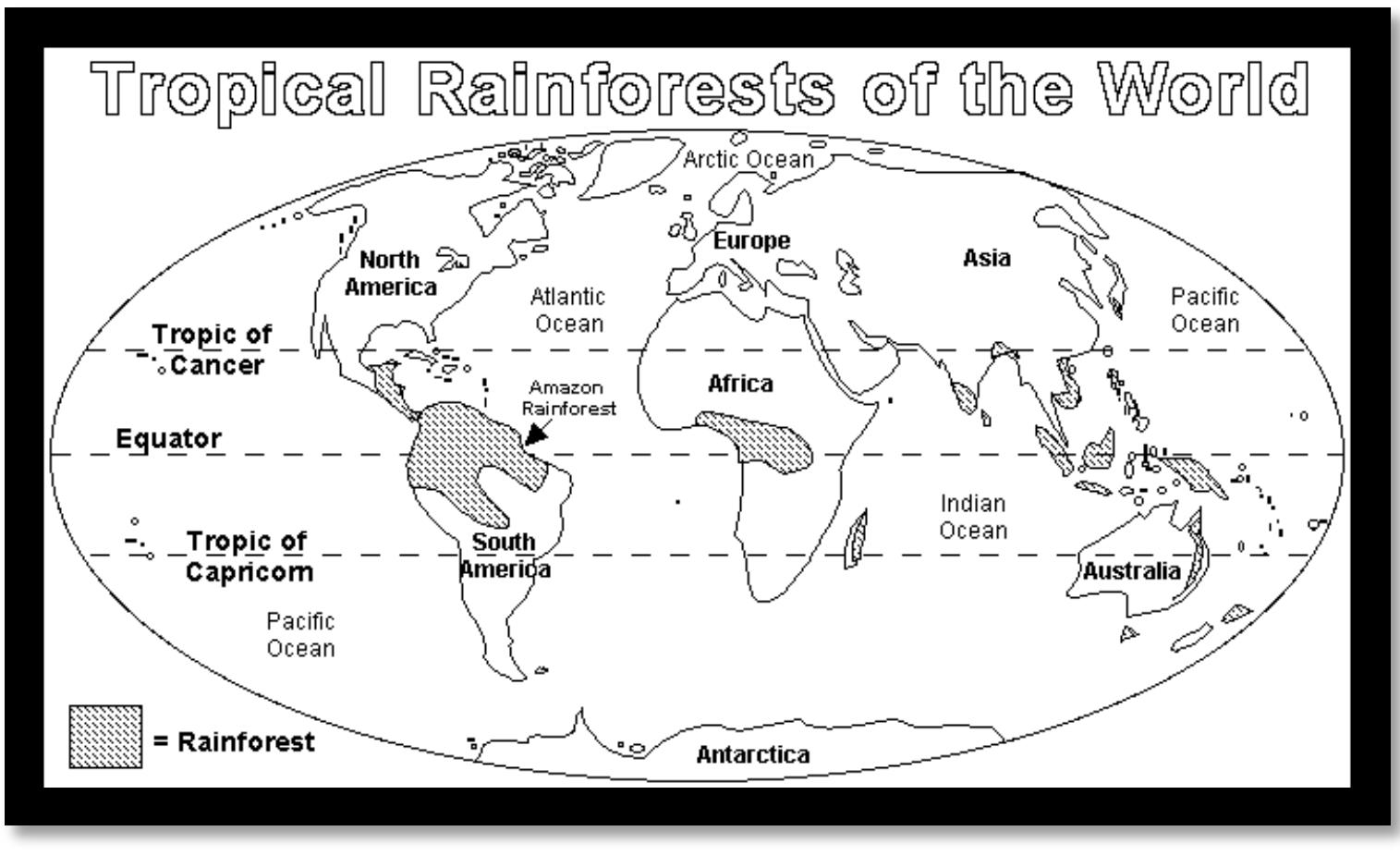 Tropical rainforest map shows the rainforest location all
