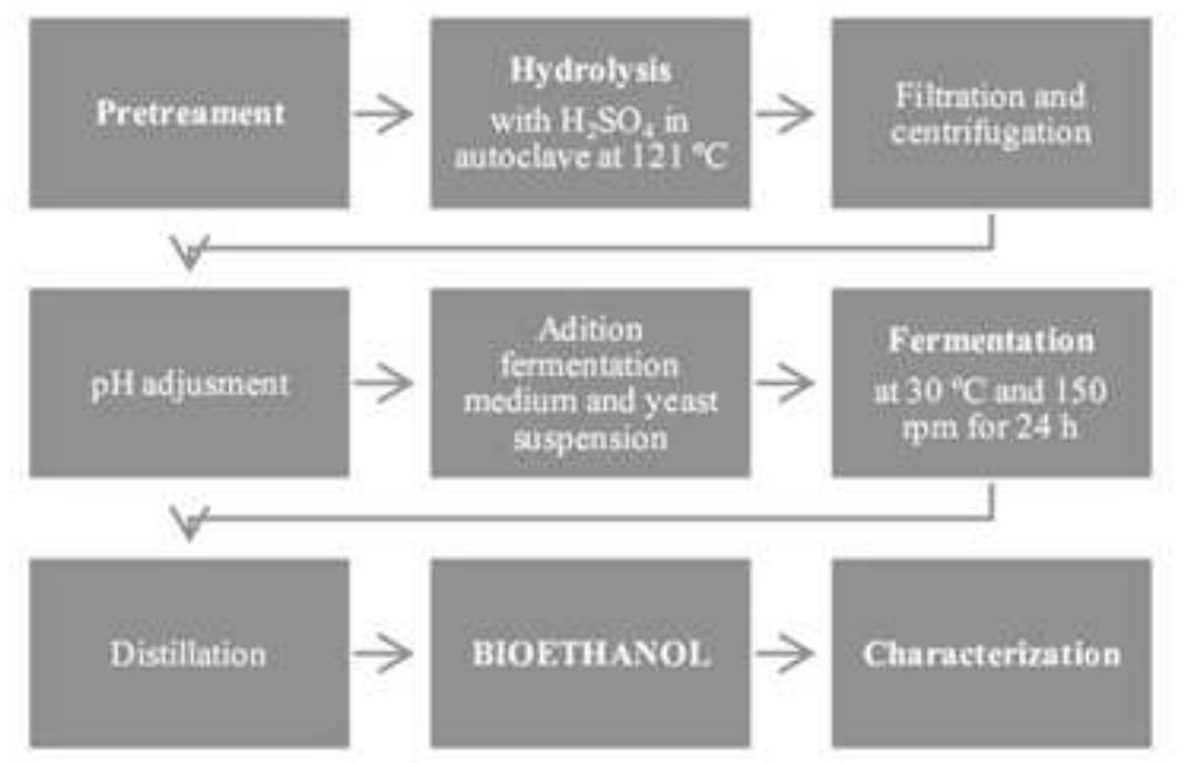 Flowchart bioethanol from paper waste [8 judging from the