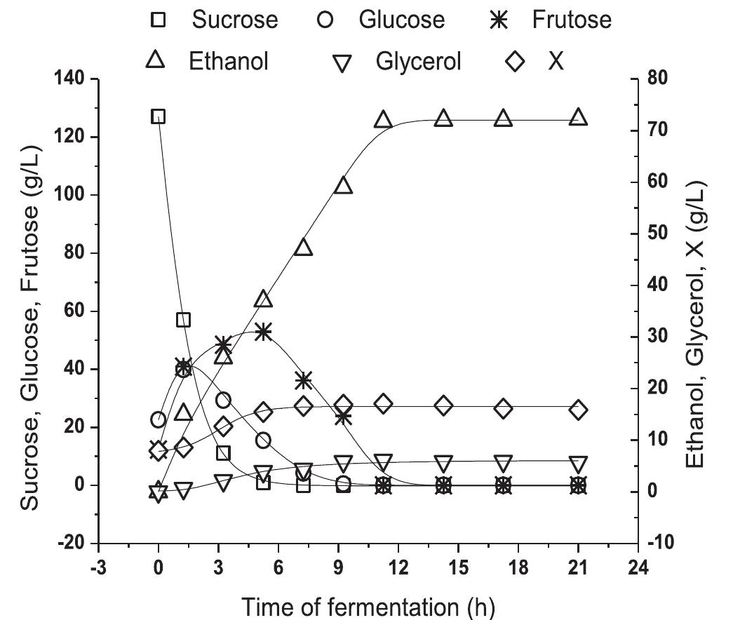 Batch ethanol fermentation from sweet sorghum juice with no
