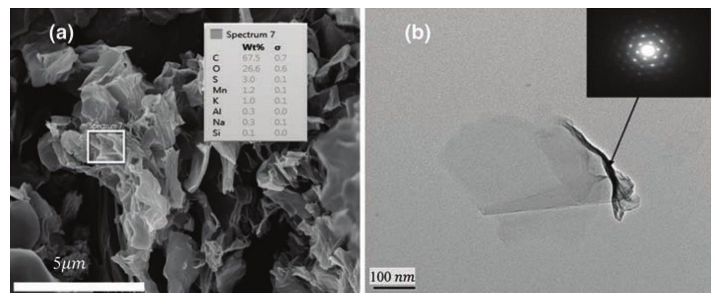 (a) field-emission scanning electron micrograph of graphene