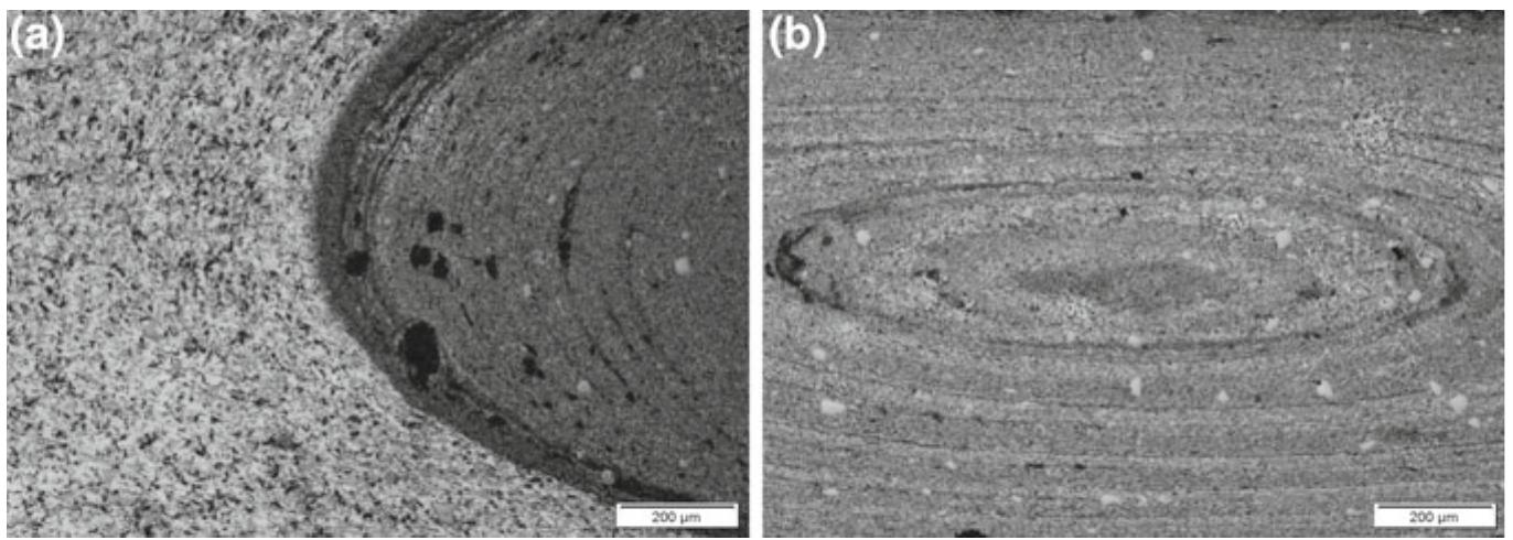 Optical microstructure of the fsp with holes’ strategy a at