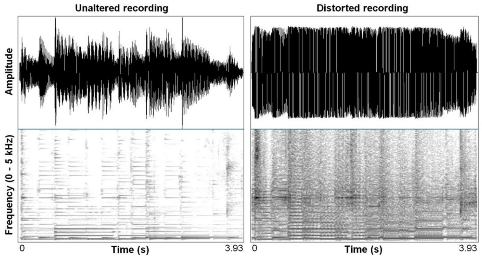 Waveform And Spectrogram Fast Fourier Transform Fft