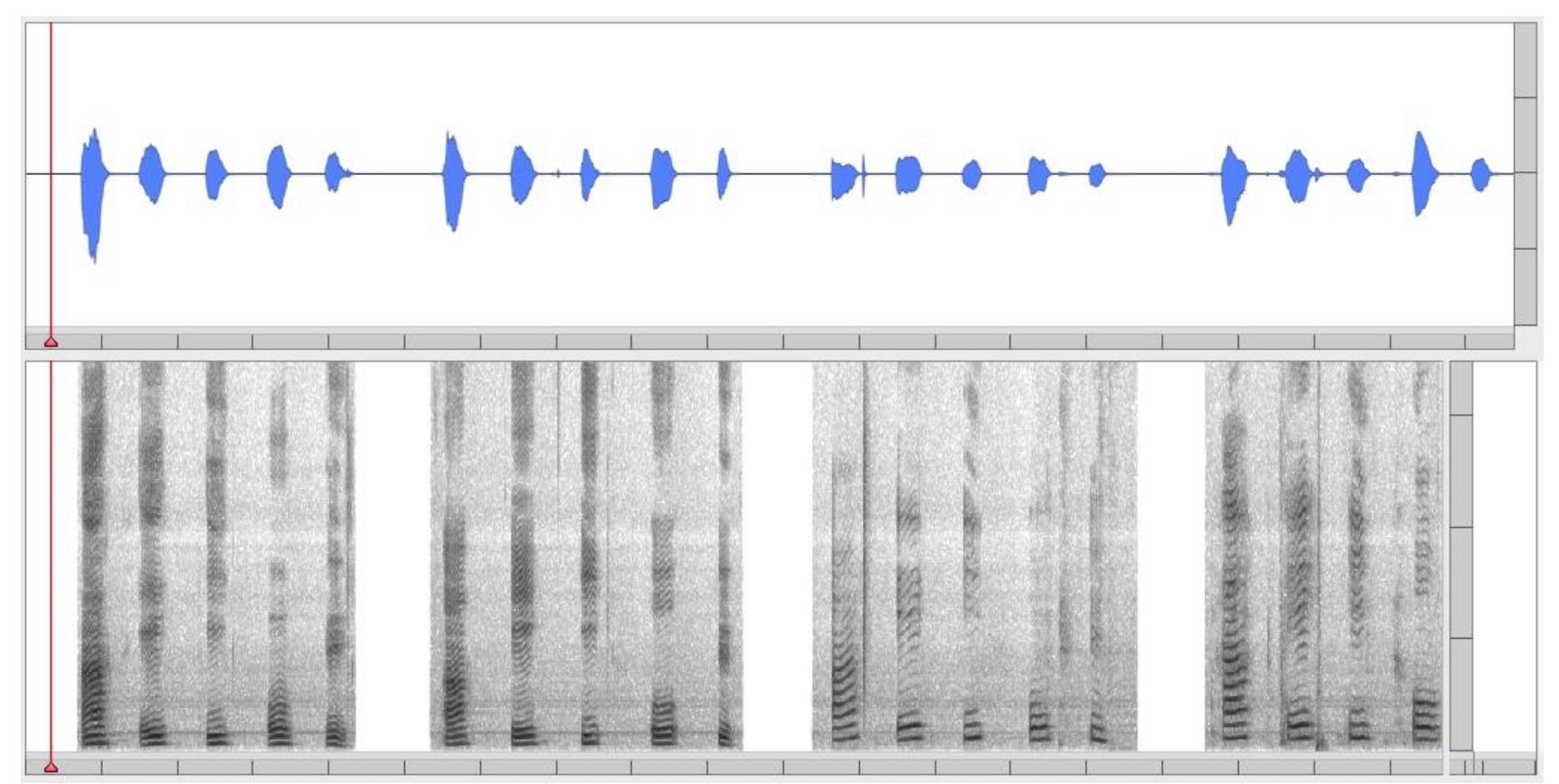 Analog-continuous depiction of the vowels /a/ /e/ /1/ /o/