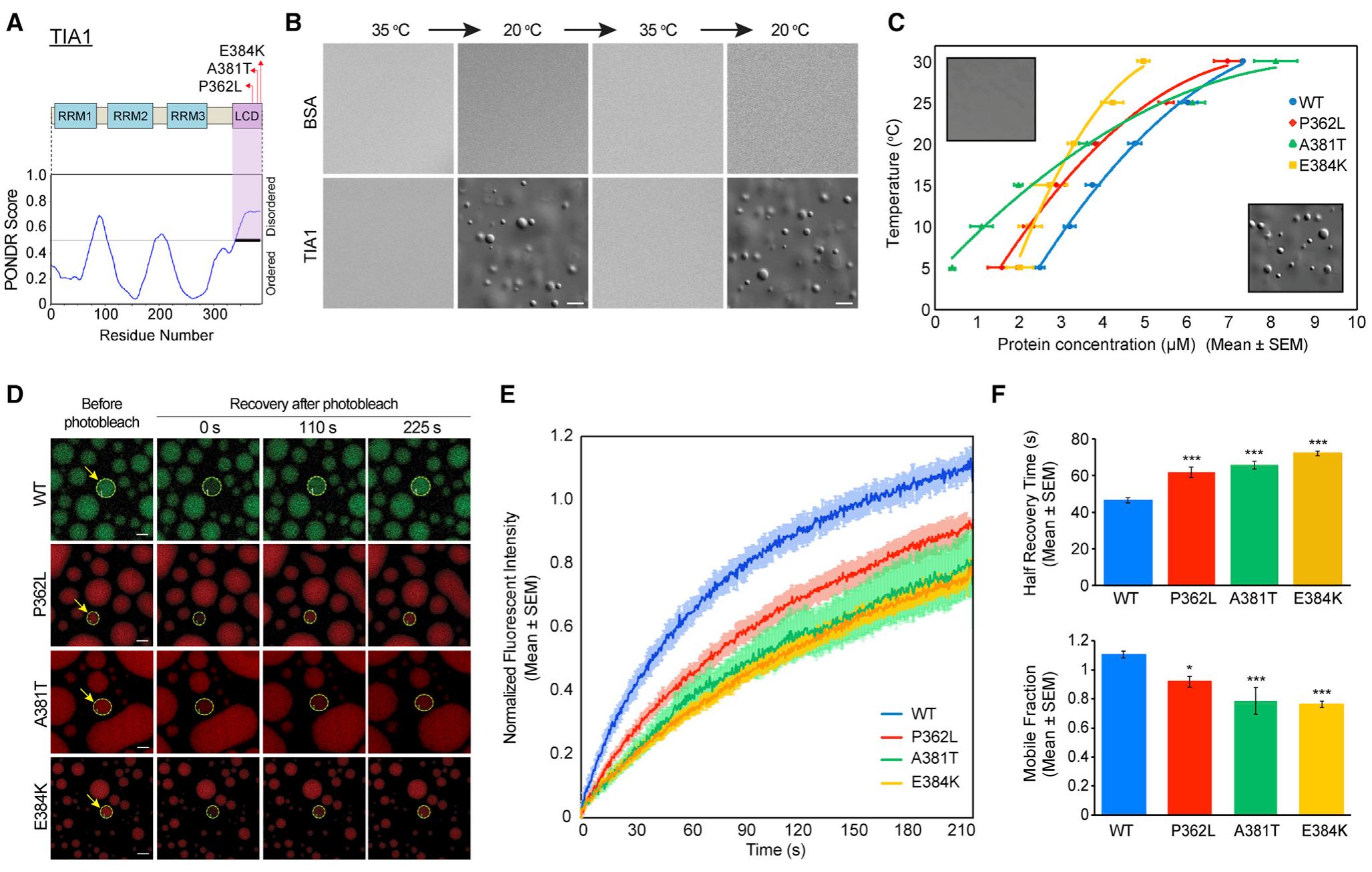 Figure 3 - from Top 4 Genetics Papers