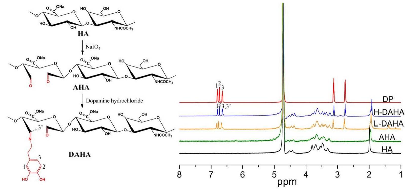 (a) synthesis route and chemical structure of daha. (b) 'h