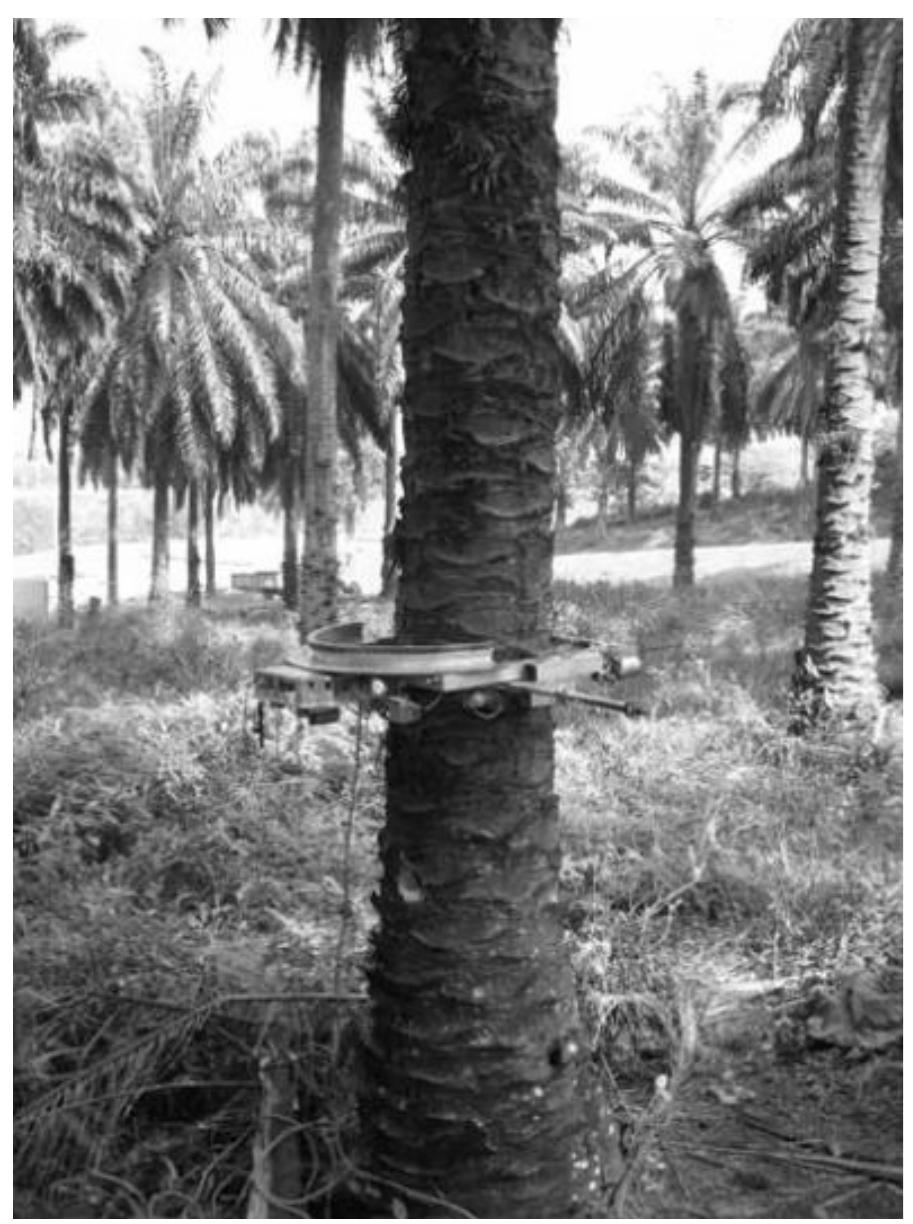 Blade cutting mechanism harvester. fig. 7: palm tree