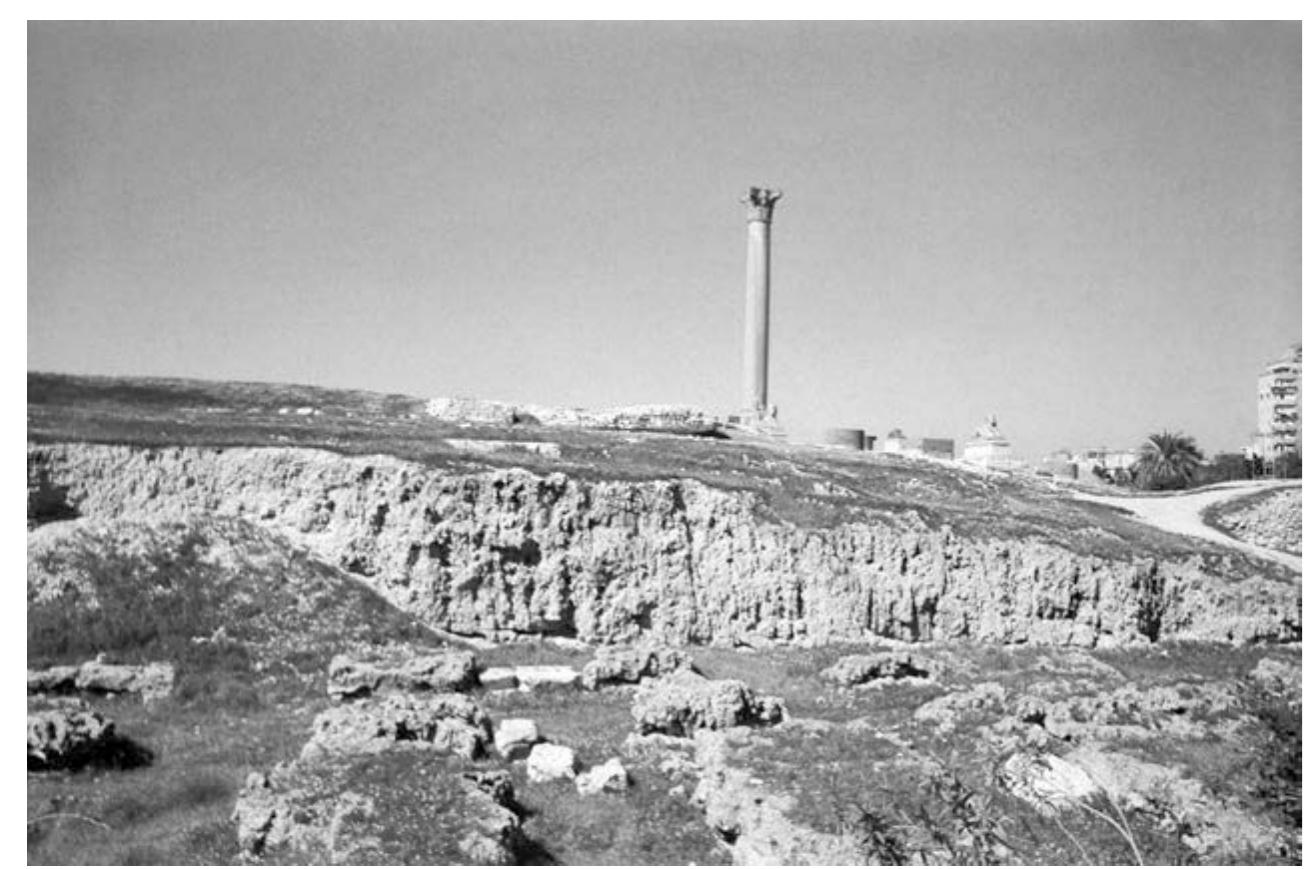 Figure 2 - from The Final Pagan Generation